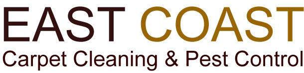 Carpet Cleaning Sunshine Coast | Expert Carpet Cleaning Services